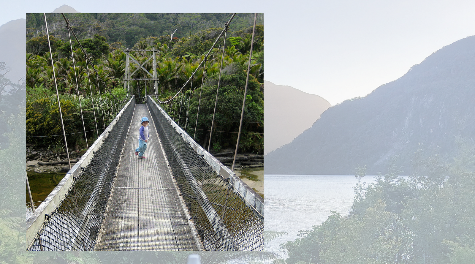 Sandfly and Mosquito Bug and Bite Plan and Map