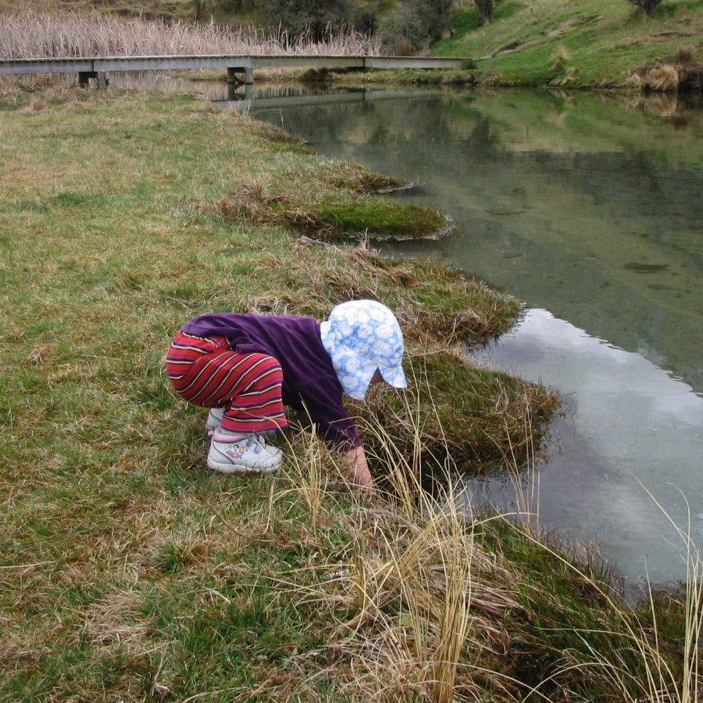 Sandfly and Mosquito Bug and Bite Plan and Map
