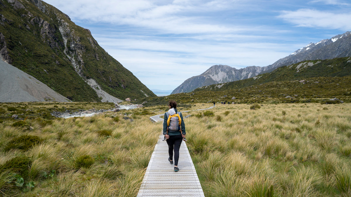 Sandfly and Mosquito Bug and Bite Plan and Map