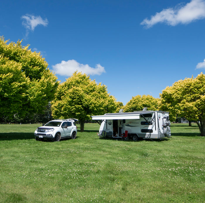 Sandfly and Mosquito Bug and Bite Plan and Map