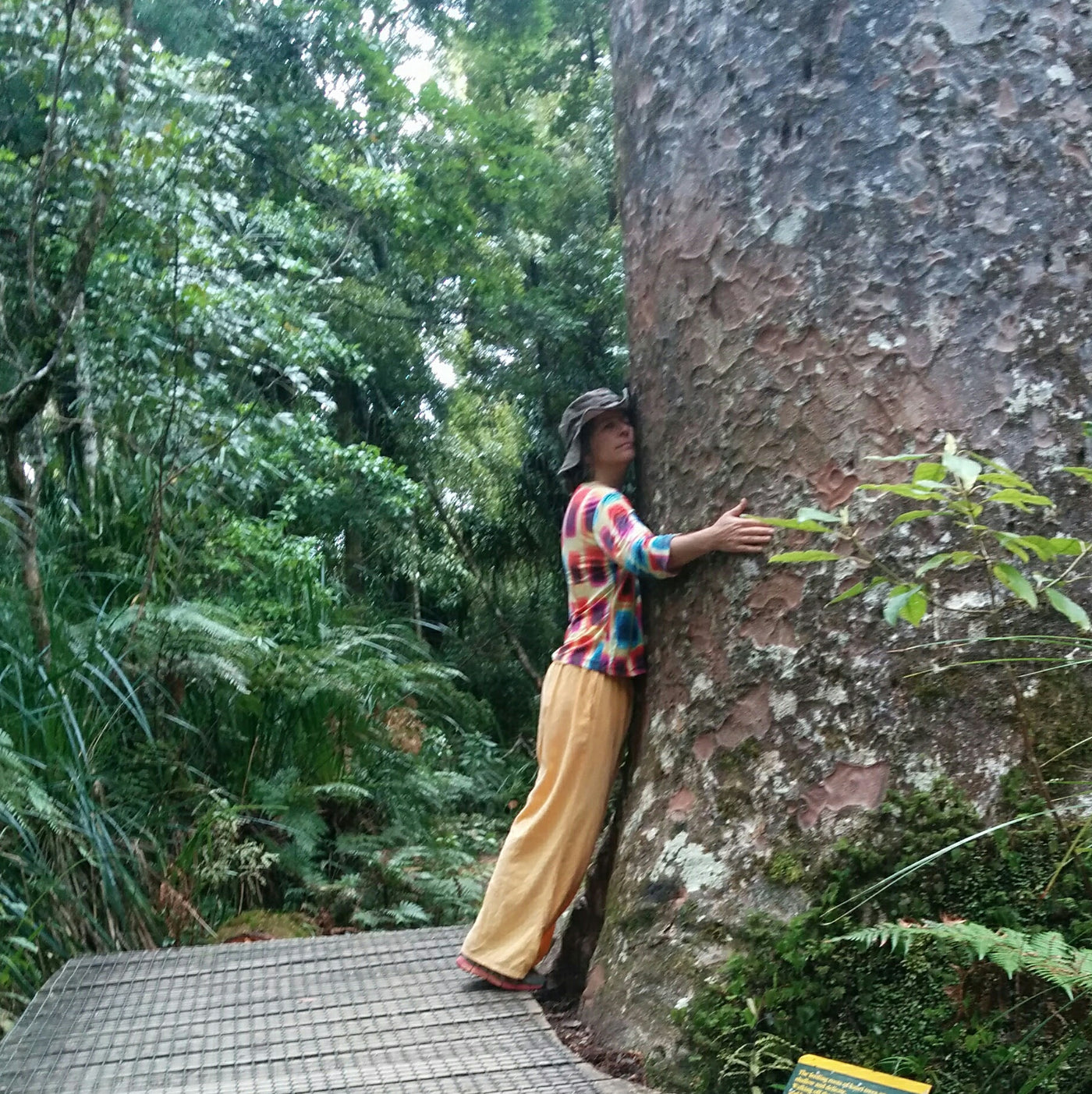 Sandfly and Mosquito Bug and Bite Plan and Map